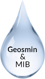 Advisories | Cobb County Georgia