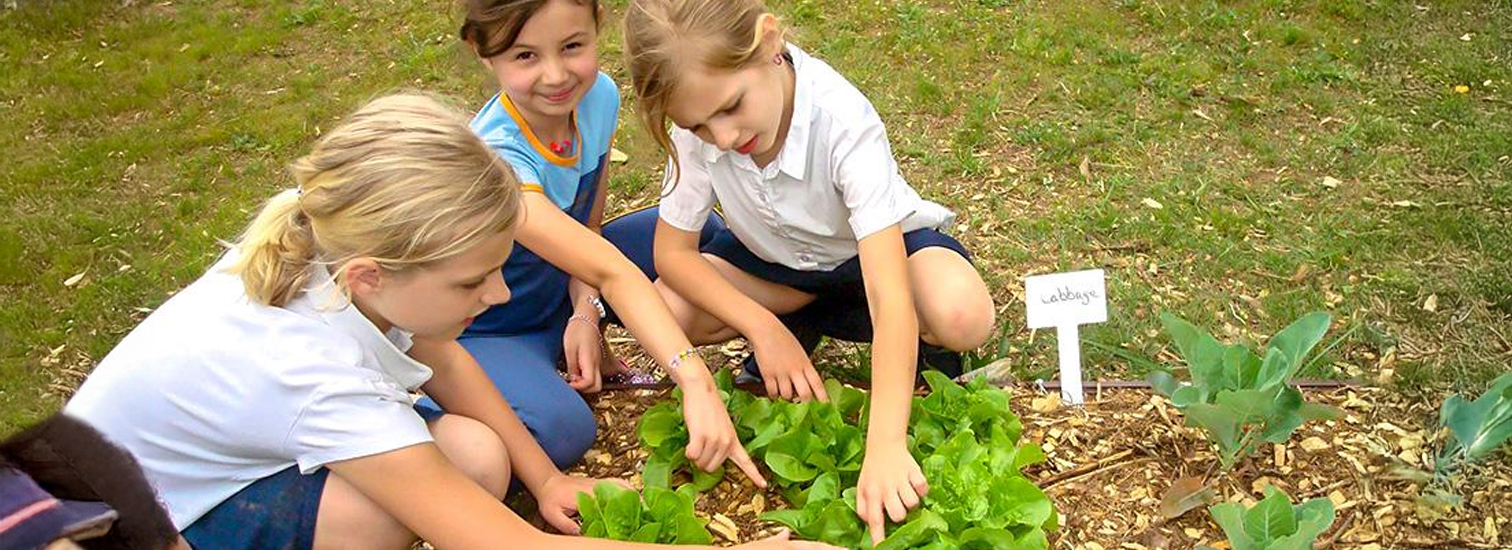 About Keep Cobb Beautiful | Cobb County Georgia